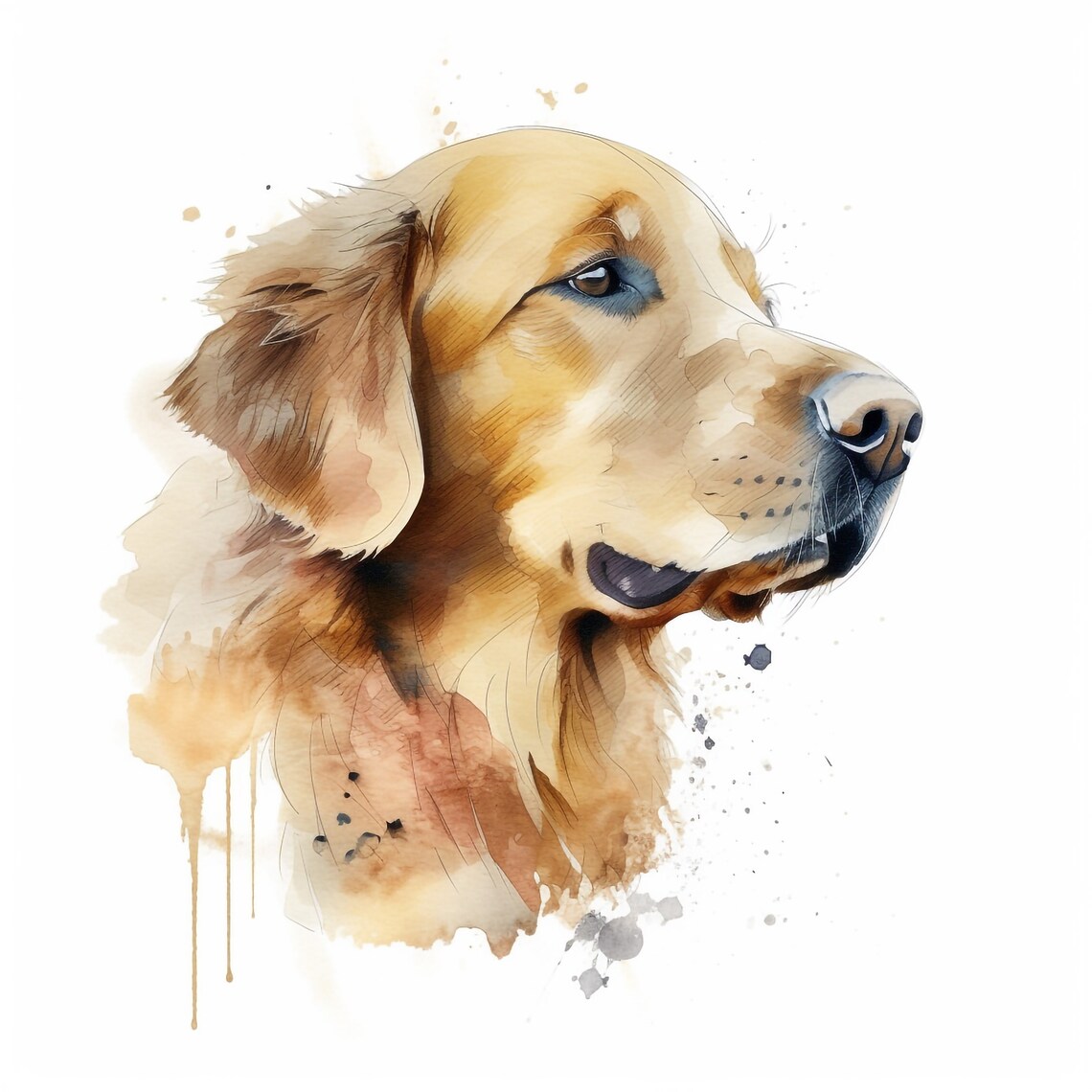 Watercolor Golden Retriever Clipart Set of 10 High Quality - Etsy