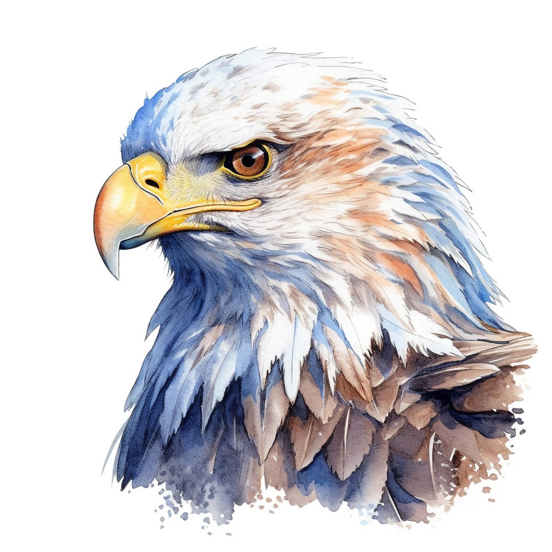 Watercolor Eagle Clipart - 10 Digital Clipart Bundle - High Quality ...