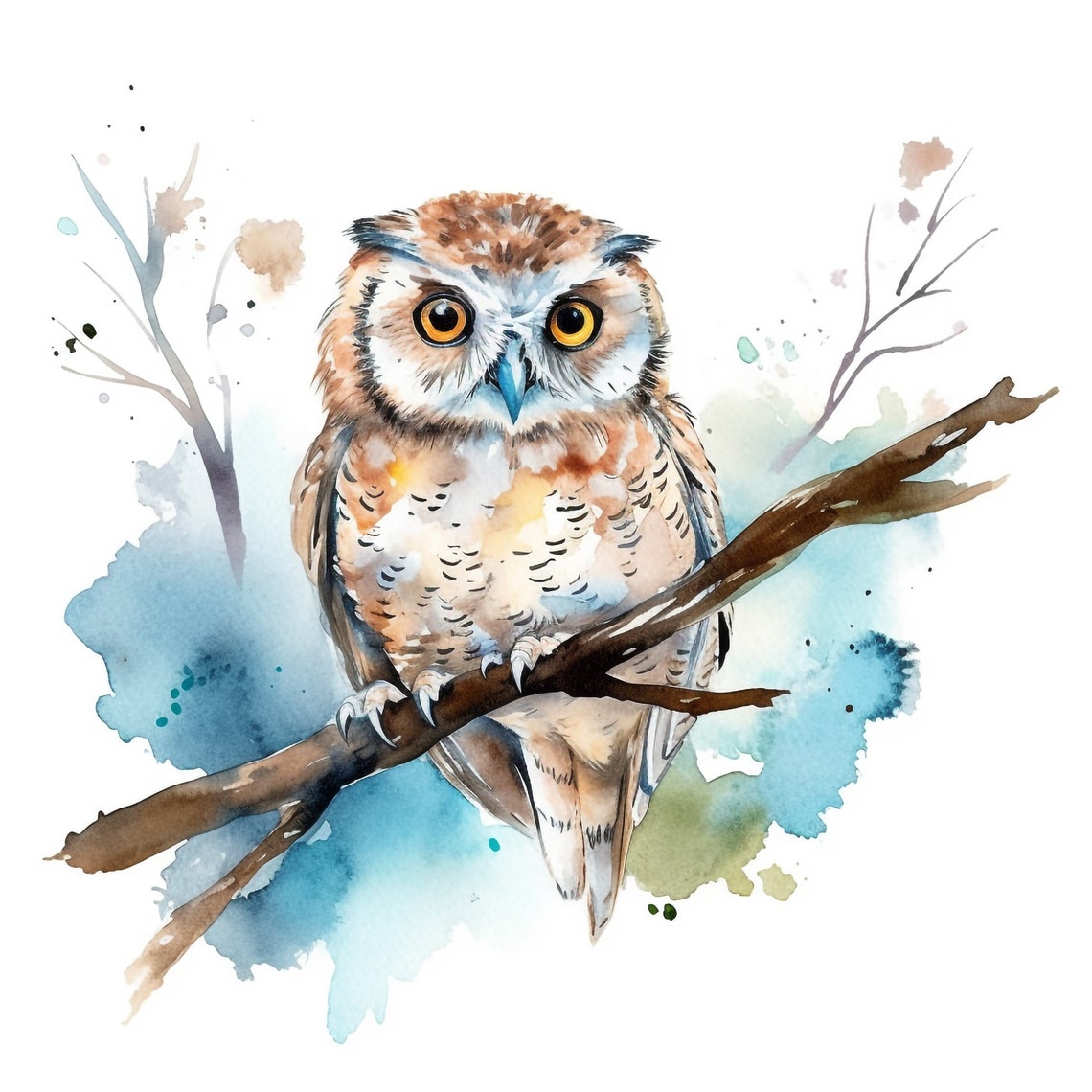 Watercolor Owl 10 Digital Clipart Bundle High Quality - Etsy