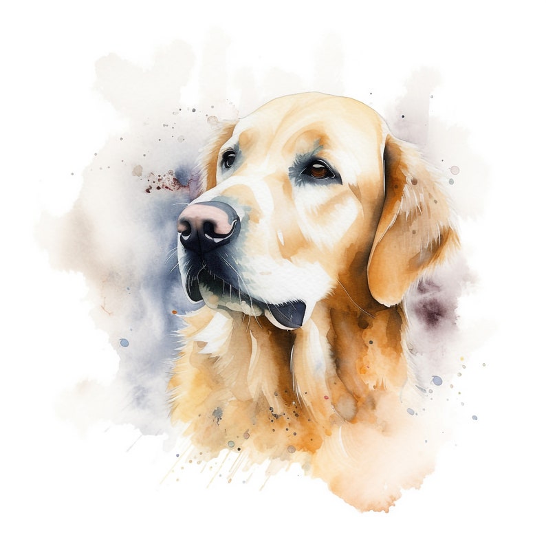 Watercolor Golden Retriever Clipart Set of 10 High Quality - Etsy