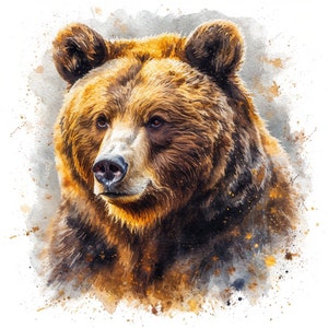 Watercolor Bear Clipart - Set of 10 High Quality Pictures - Digital ...
