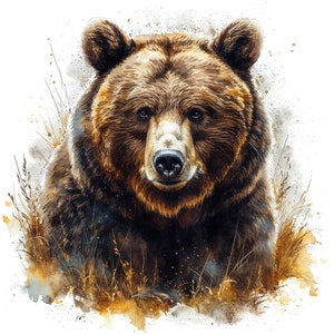 Watercolor Bear Clipart - Set of 10 High Quality Pictures - Digital ...