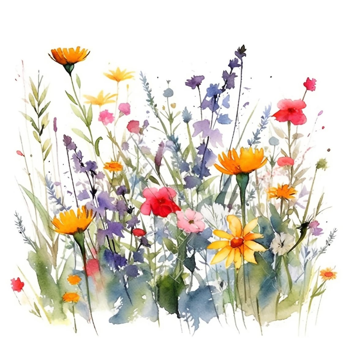 Wild Flowers Clipart 30 Digital Clipart Bundle High - Etsy