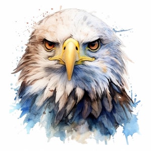 Watercolor Eagle Clipart 10 Digital Clipart Bundle High - Etsy