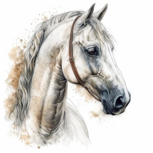 Watercolor White Horse Clipart - Set of 10 High Quality Jpgs - Digital ...