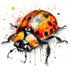Watercolor Ladybug Clipart - Set of 10high Quality Images - Digital ...