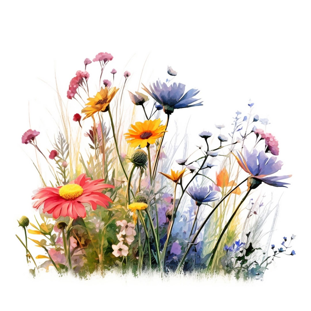 Wild Flowers Clipart 10 Digital Clipart Bundle High Quality Images ...