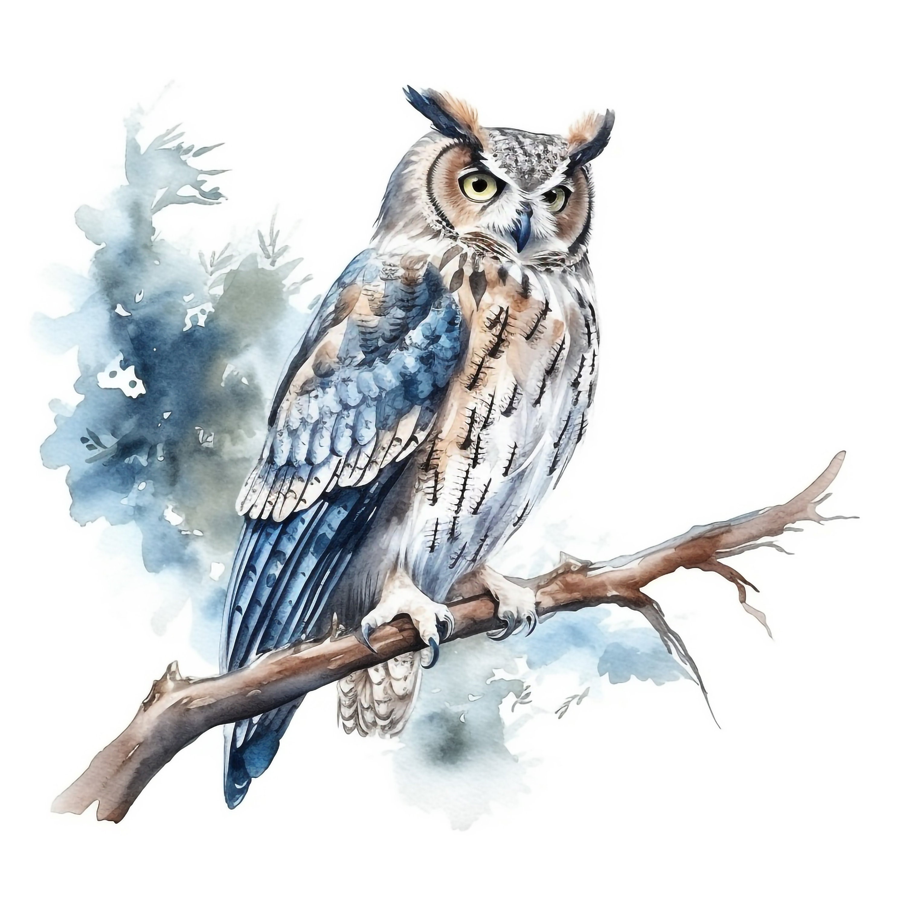 Watercolor Owl 10 Digital Clipart Bundle High Quality - Etsy