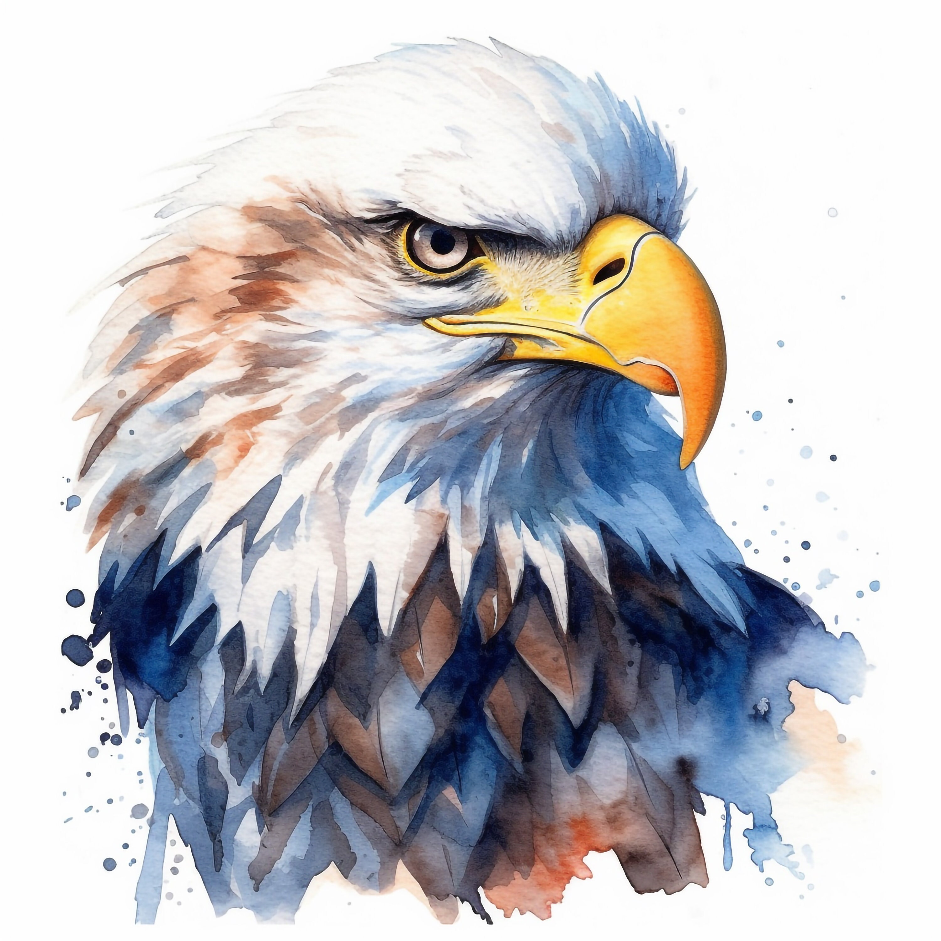 Watercolor Eagle Clipart 10 Digital Clipart Bundle High - Etsy