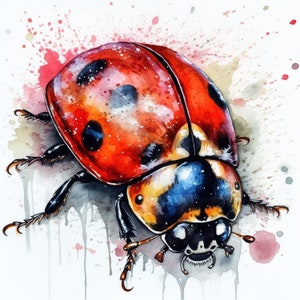 Watercolor Ladybug Clipart - Set of 10high Quality Images - Digital ...