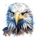 Watercolor Eagle Clipart 10 Digital Clipart Bundle High - Etsy