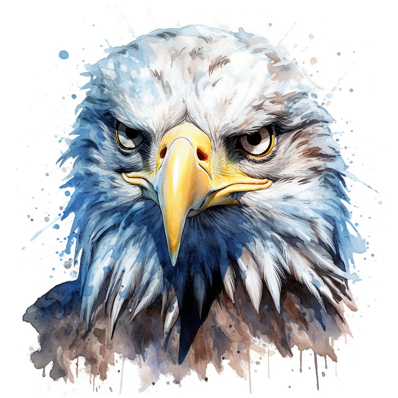 Watercolor Eagle Clipart 10 Digital Clipart Bundle High - Etsy