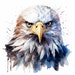 Watercolor Eagle Clipart 10 Digital Clipart Bundle High - Etsy