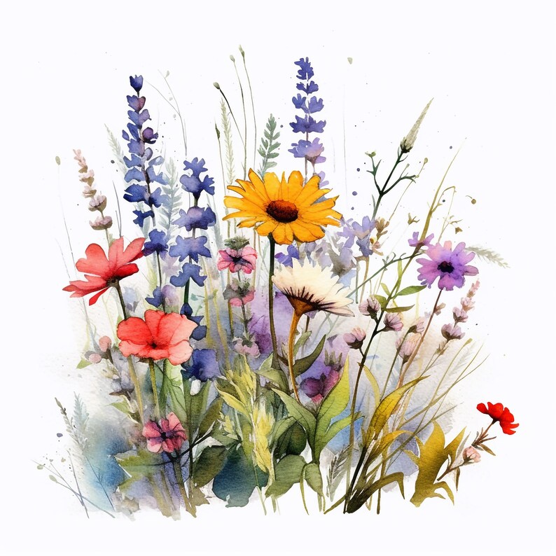 Wild Flowers Clipart 10 Digital Clipart Bundle High - Etsy