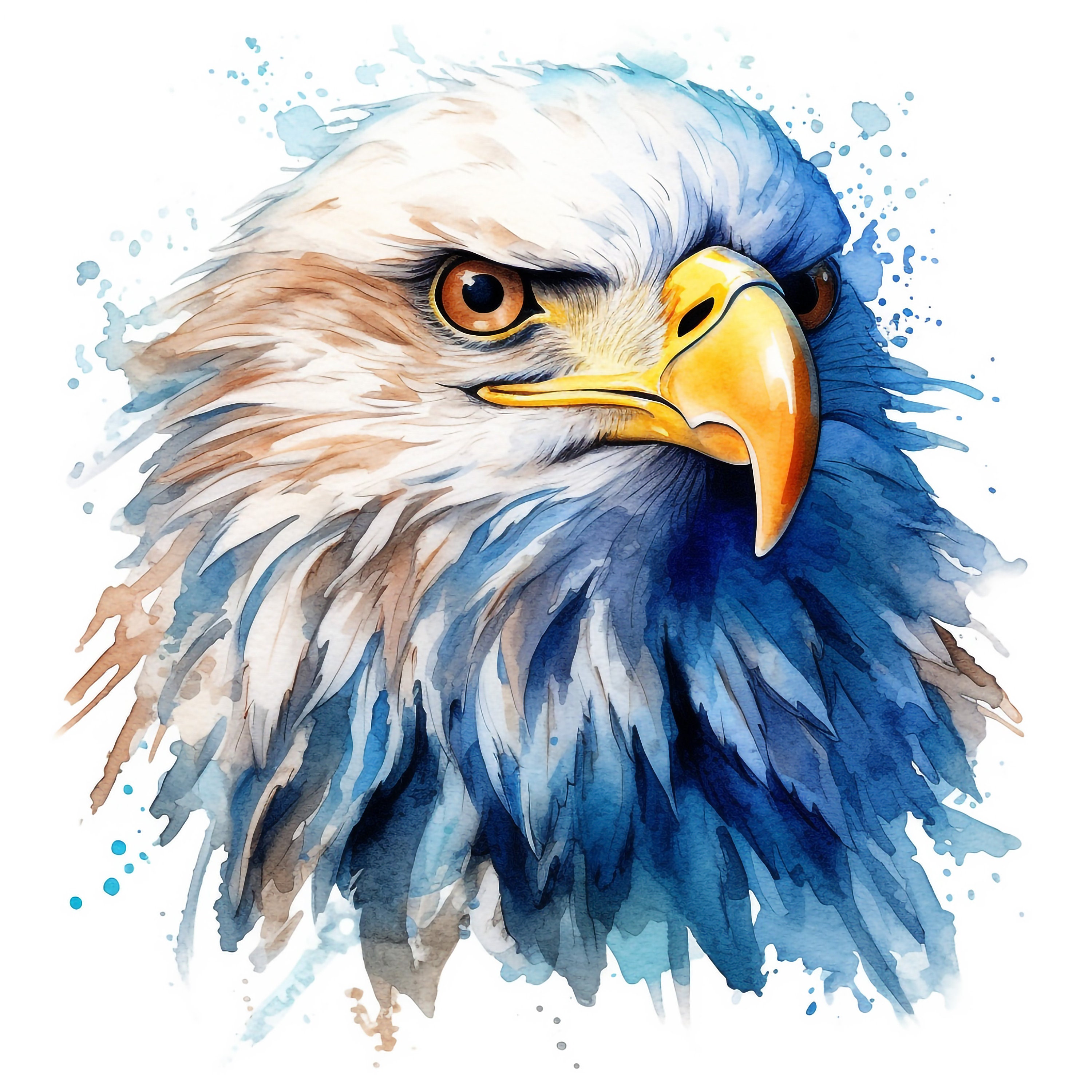 Watercolor Eagle Clipart 10 Digital Clipart Bundle High - Etsy