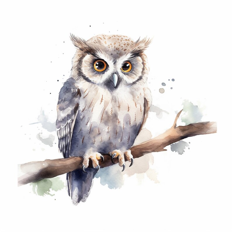 Watercolor Owl 10 Digital Clipart Bundle High Quality - Etsy