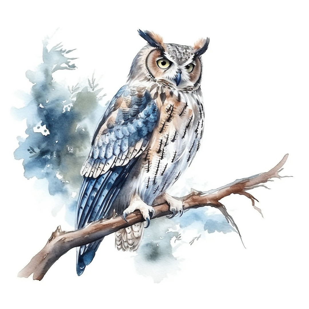 Watercolor Owl - 30 Digital Clipart Bundle - High Quality Images , Printable Art , Jpegs ...