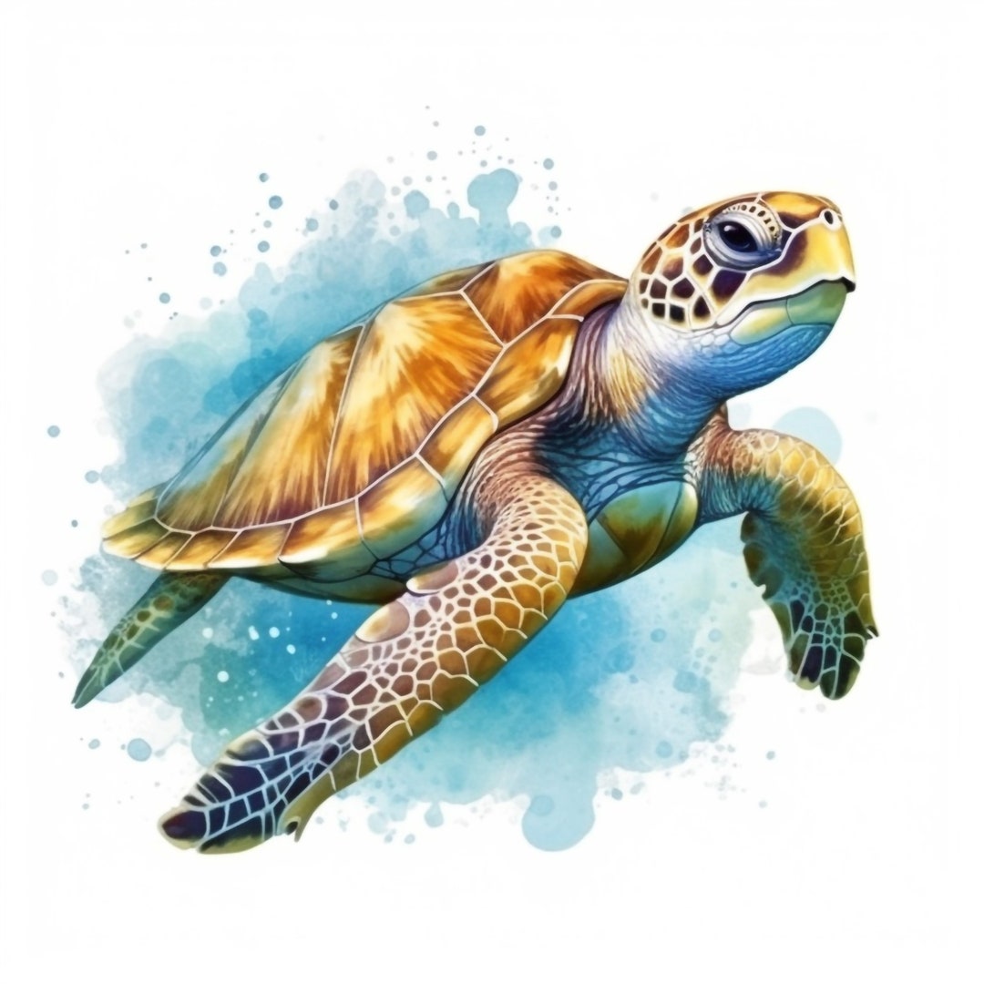 Watercolor Sea Turtle Clipart 10 Digital Clipart Bundle High Quality ...