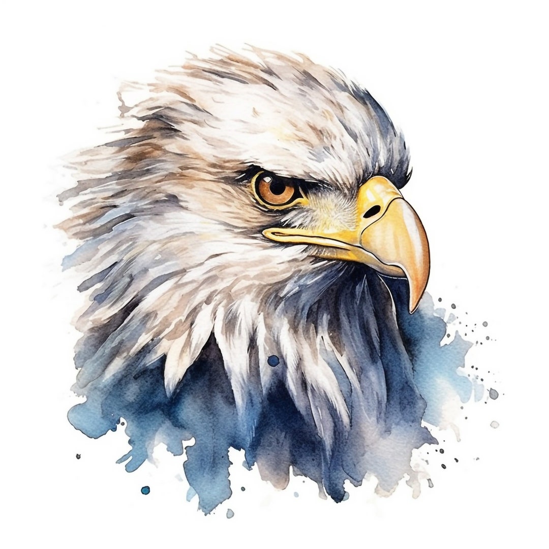 Watercolor Eagle Clipart 10 Digital Clipart Bundle High - Etsy