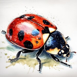 Watercolor Ladybug Clipart - Set of 10high Quality Images - Digital ...