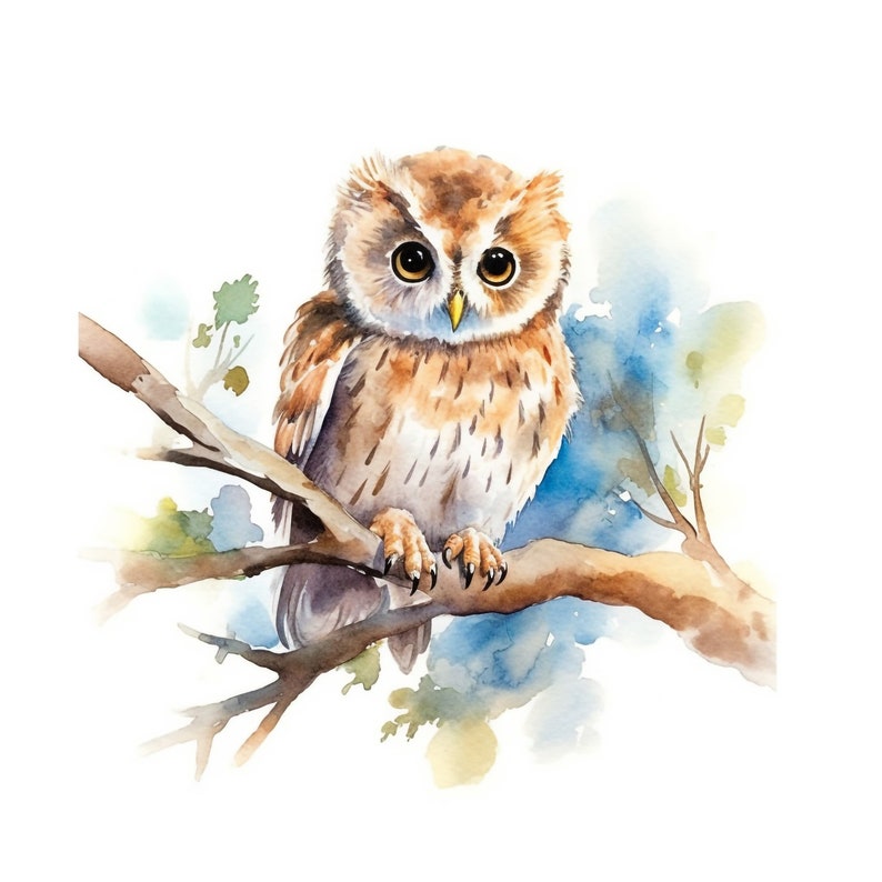 Watercolor Owl 10 Digital Clipart Bundle High Quality - Etsy