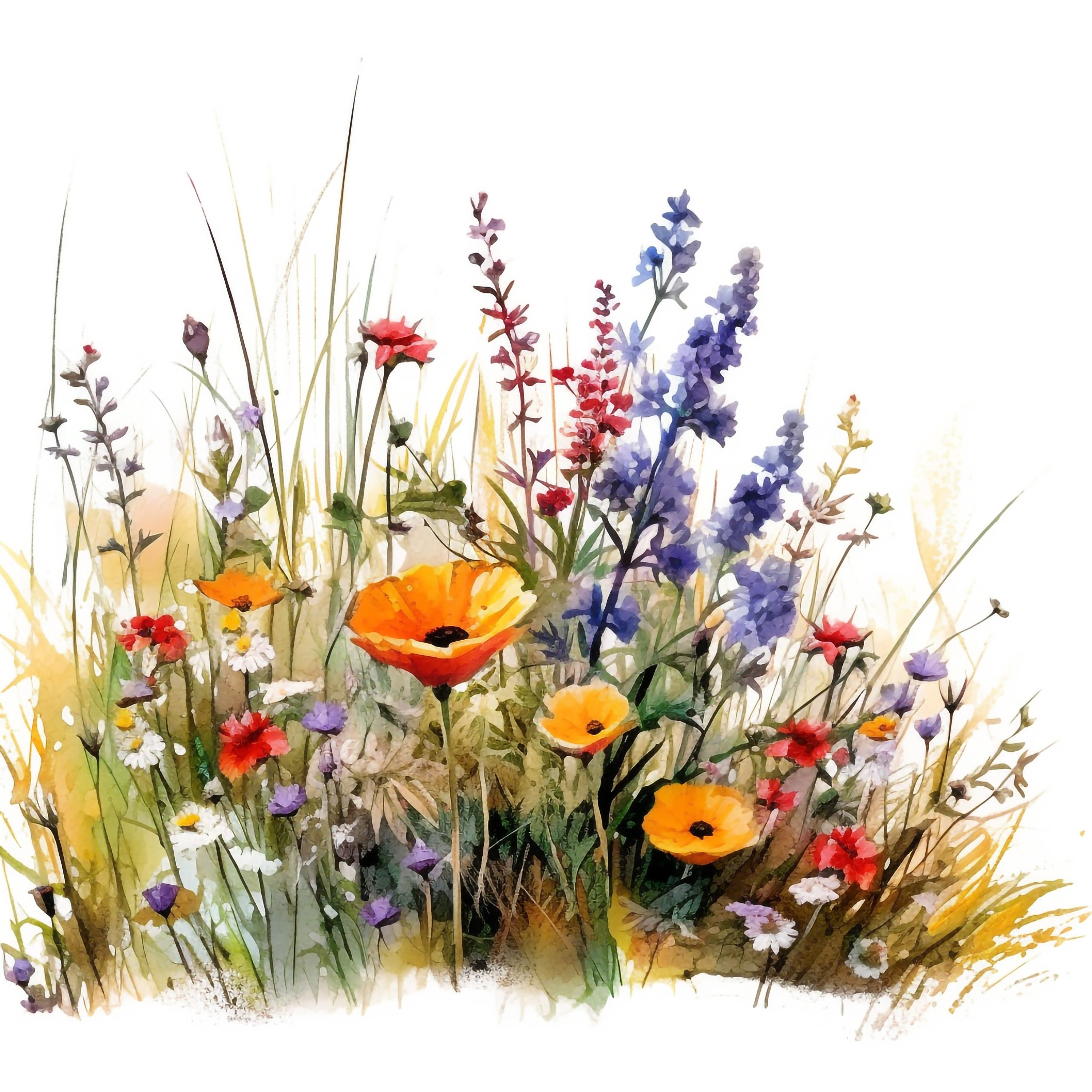 Wild Flowers Clipart 10 Digital Clipart Bundle High - Etsy