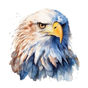 Watercolor Eagle Clipart 10 Digital Clipart Bundle High - Etsy