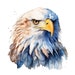 Watercolor Eagle Clipart 10 Digital Clipart Bundle High - Etsy