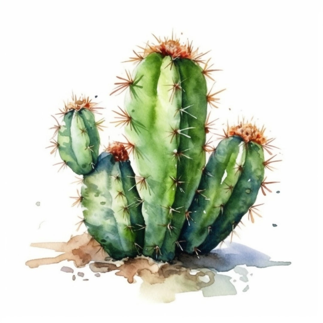 Watercolor Cactus - Set of 10 Digital Clipart Bundle - High Quality ...