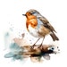 Watercolor Robin - 10 Digital Clipart Bundle - High Quality Images ...