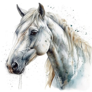 Watercolor White Horse Clipart - Set of 10 High Quality Jpgs - Digital ...