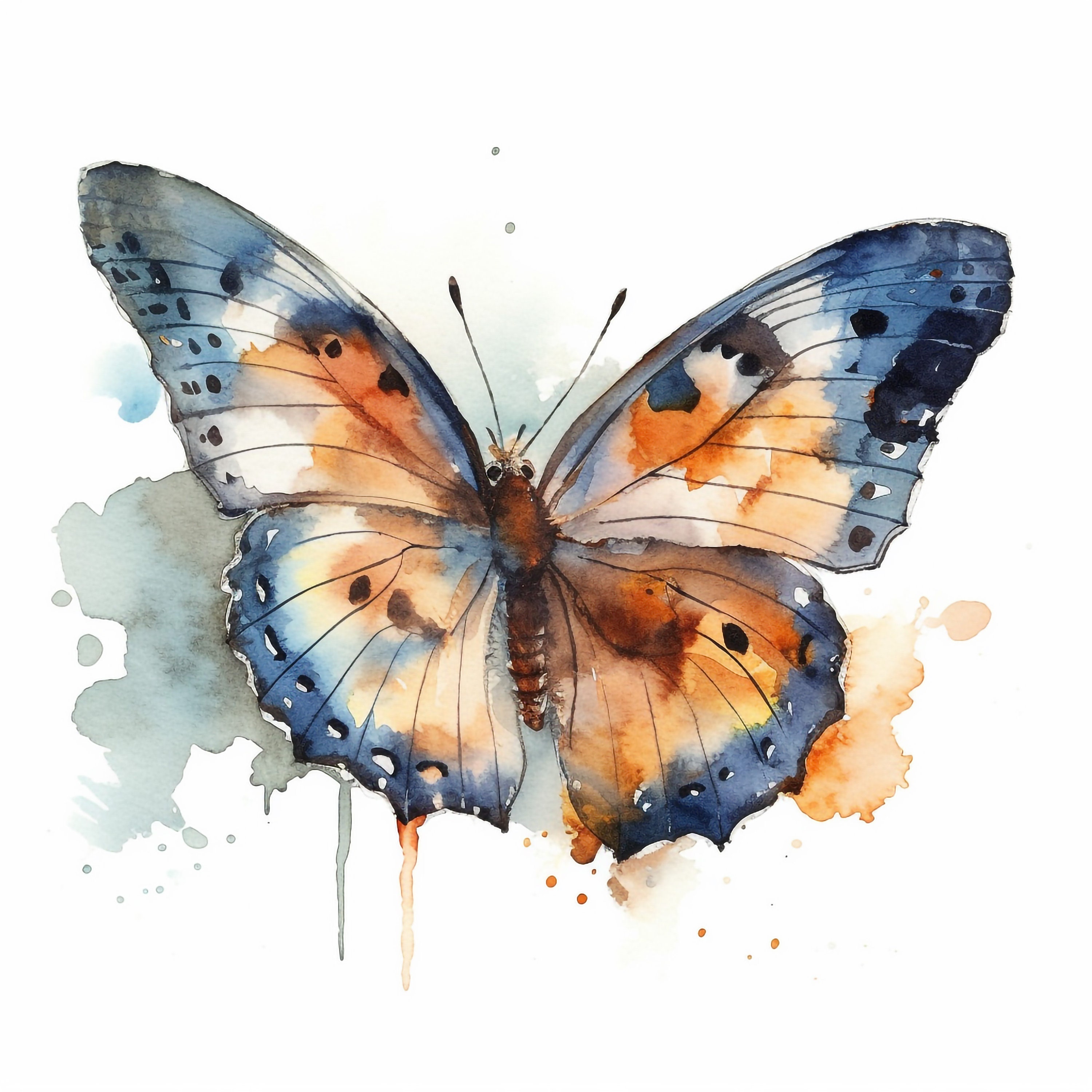 Watercolor Butterfly Clipart Set of 10 High Quality Jpgs - Etsy