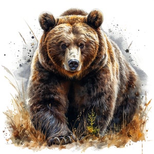 Watercolor Bear Clipart - Set of 10 High Quality Pictures - Digital ...