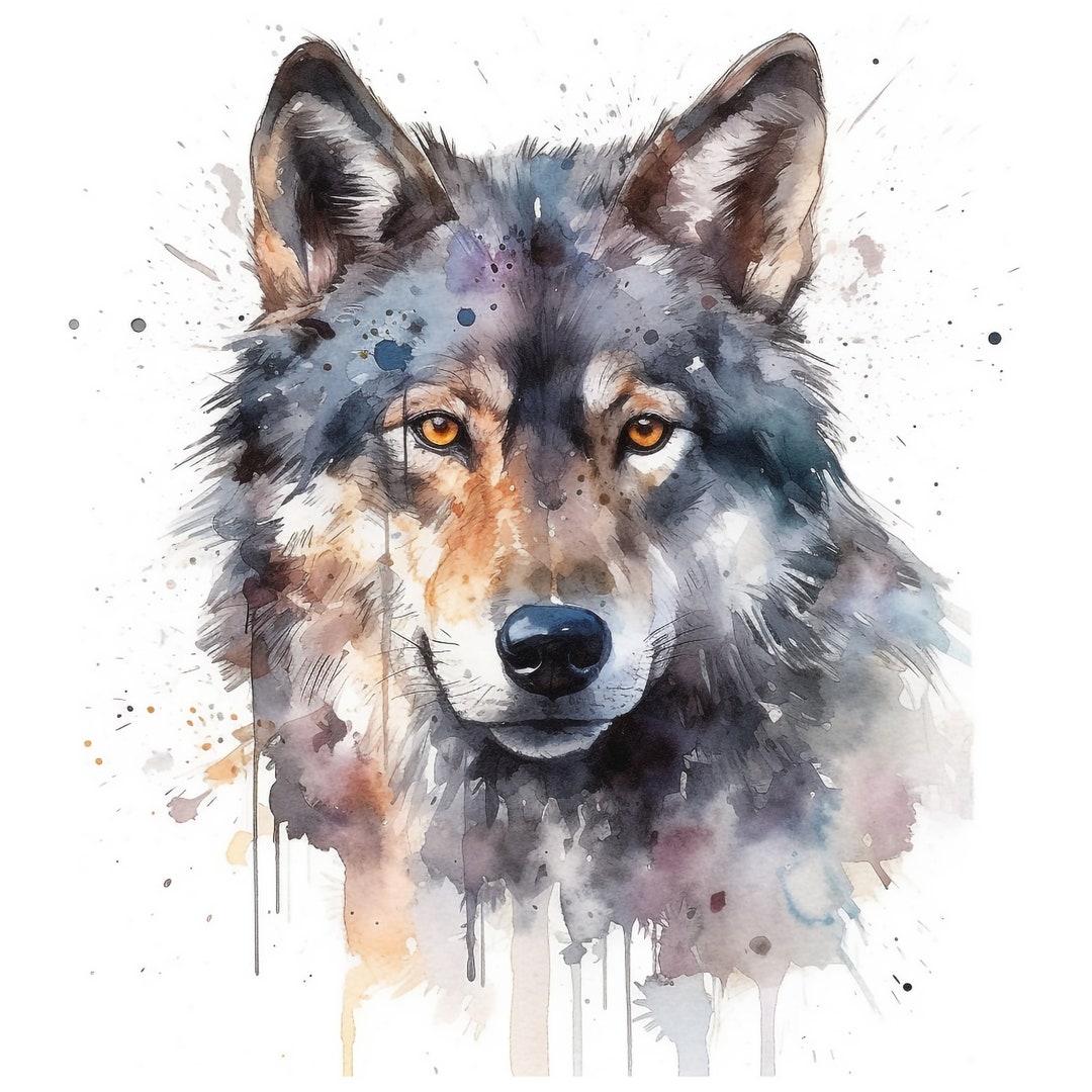 Watercolor Wolf Clipart - Set of 10 High Quality Pictures - Digital ...