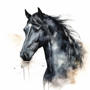 Watercolor Horse Clipart - Set of 10 High Quality Jpgs - Digital ...