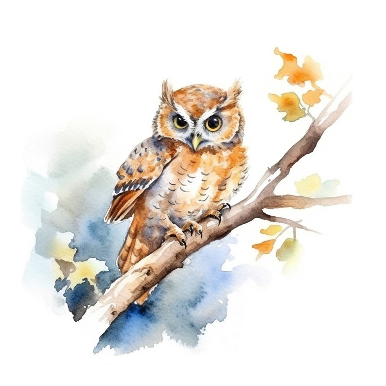 Watercolor Owl 10 Digital Clipart Bundle High Quality - Etsy