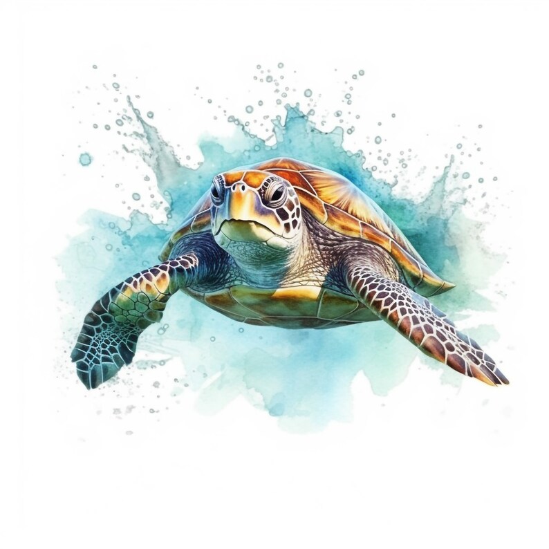 Watercolor Sea Turtle Clipart 10 Digital Clipart Bundle High Quality ...