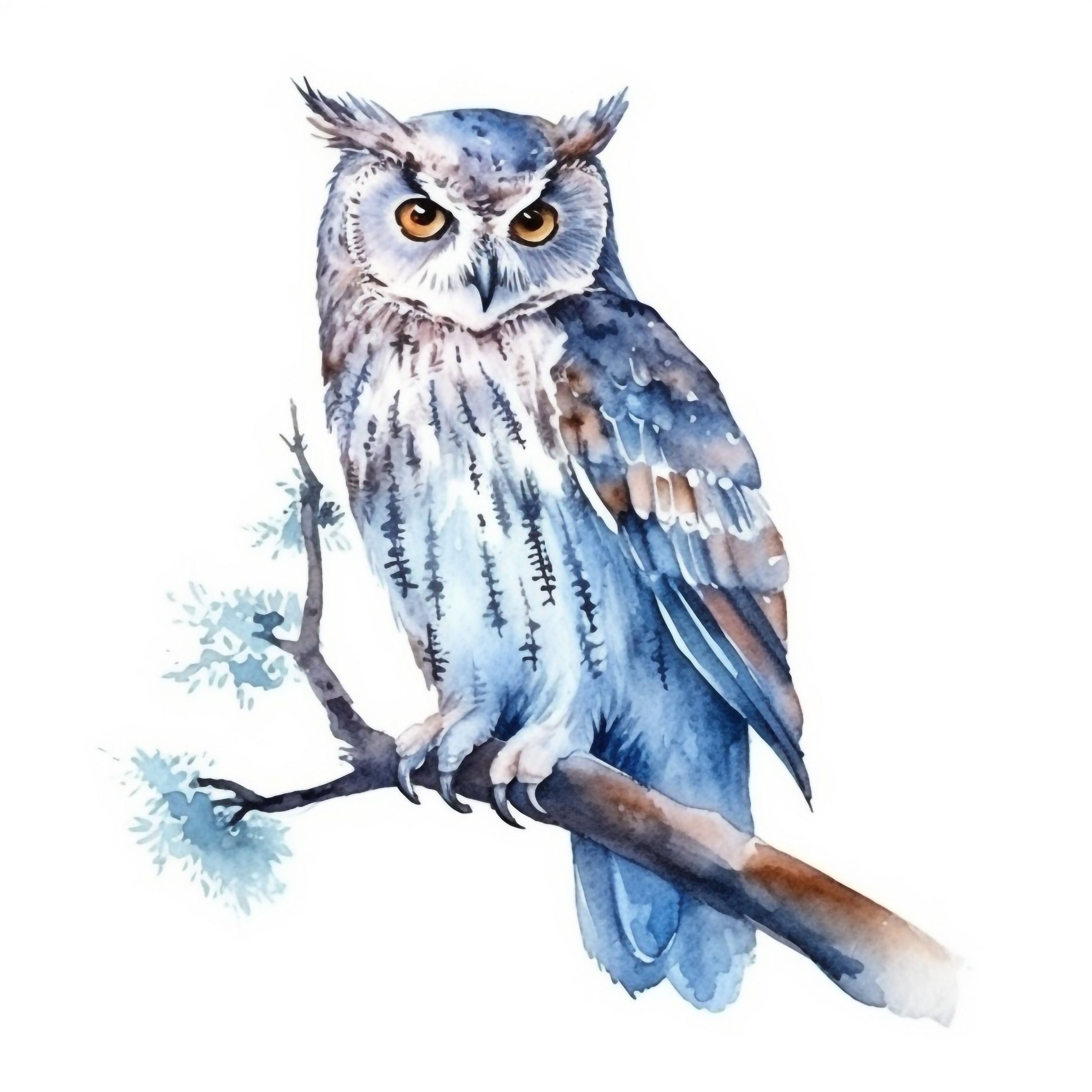 Watercolor Owl 10 Digital Clipart Bundle High Quality - Etsy