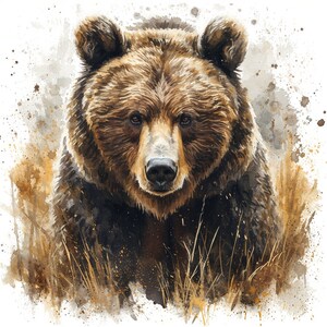 Watercolor Bear Clipart - Set of 10 High Quality Pictures - Digital ...