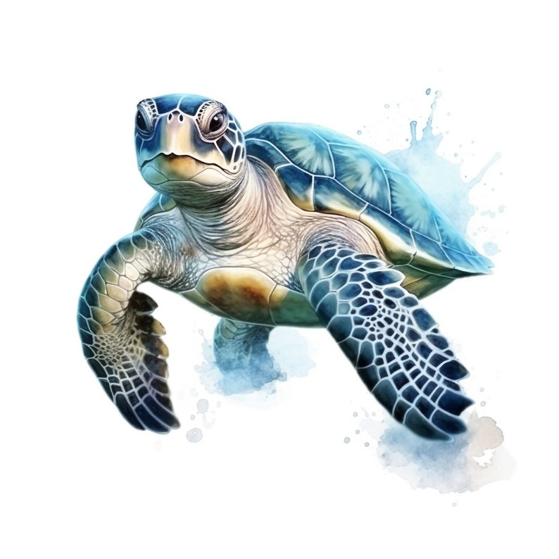 Watercolor Sea Turtle Clipart 10 Digital Clipart Bundle High Quality ...