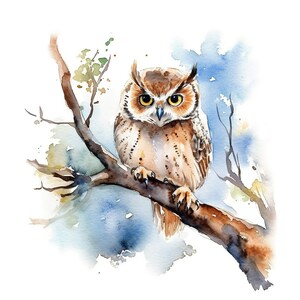 Watercolor Owl - 10 Digital Clipart Bundle - High Quality Images ...