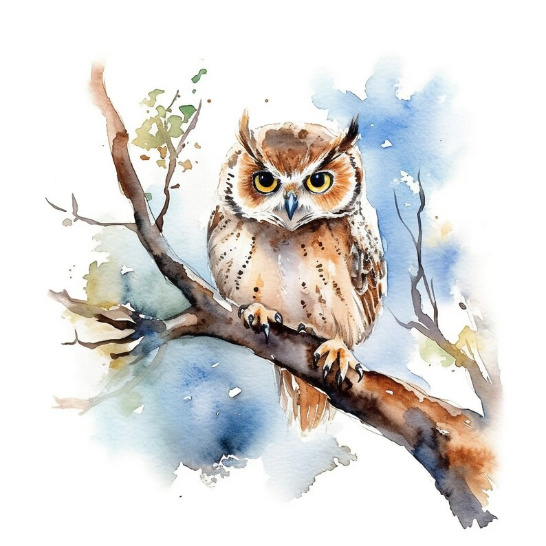Watercolor Owl 10 Digital Clipart Bundle High Quality - Etsy