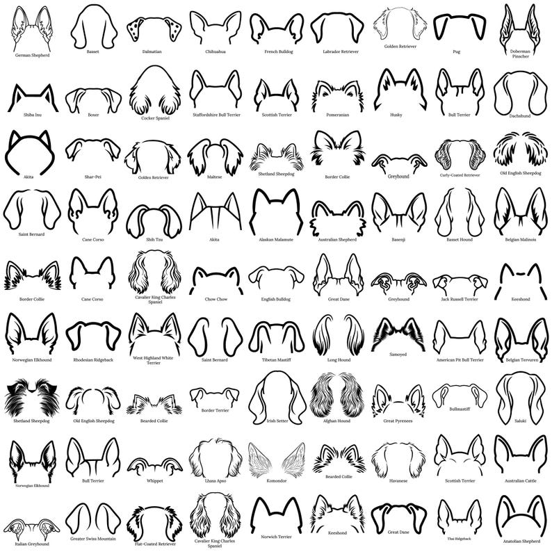 Dog Breed Ears Svg Bundle |dog Ear Outline Line Art Svg |dog Svg |dog ...