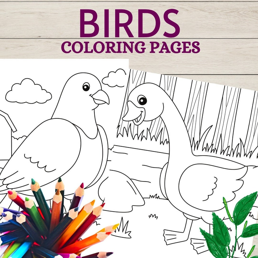 Birds Colouring Page Birds Colouring Printable Birds - Etsy