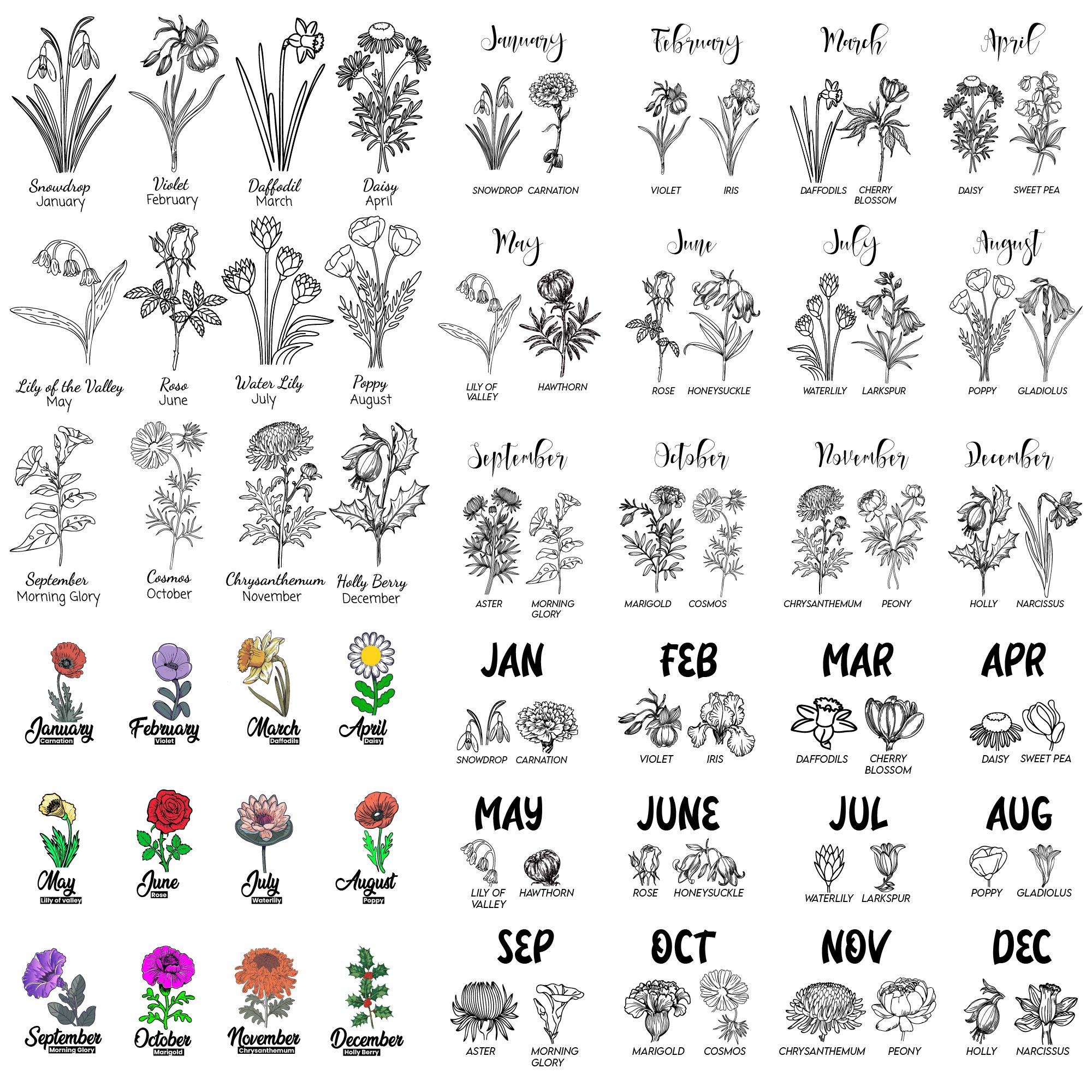 Birth Month Flower SVG Bundle: Botanical Floral Designs (digital ...