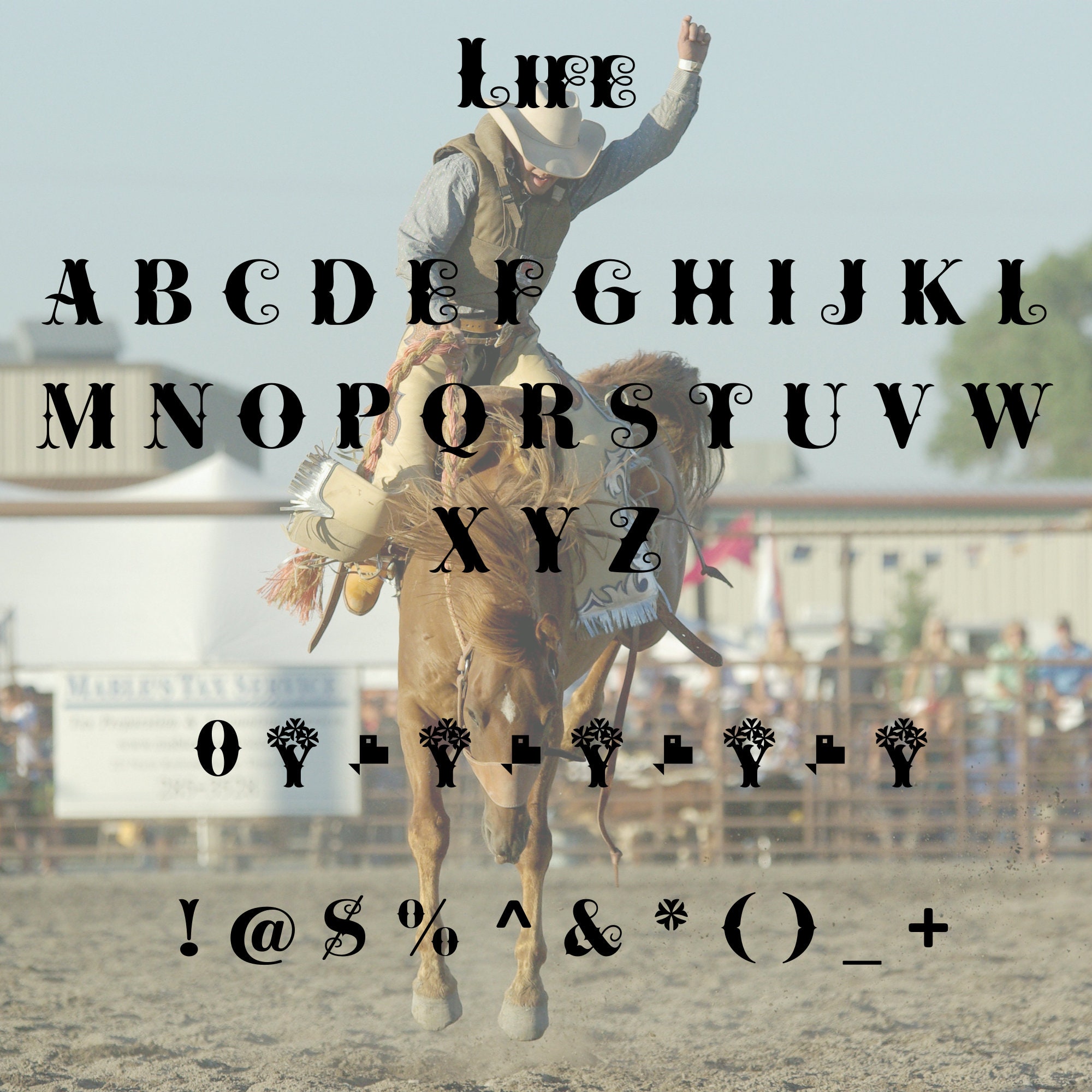 10 Western Font Bundle Canva Fonts, Circuit Fonts, Procreate Fonts ...