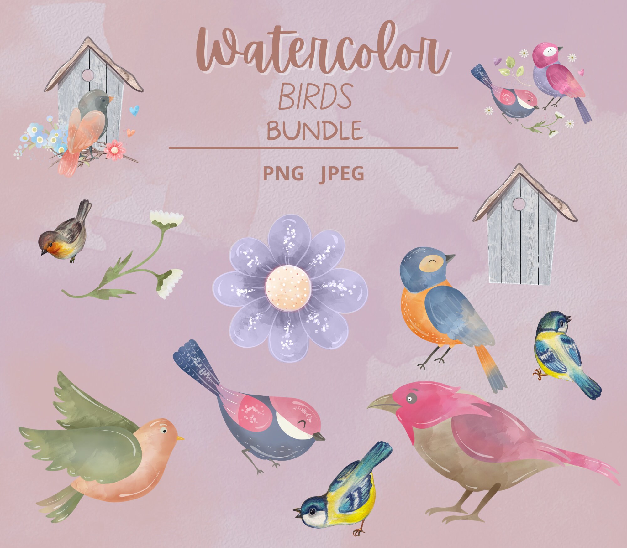 Watercolor Birds Bundle PNG, Jpeg - Etsy