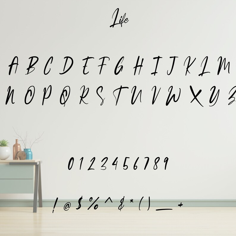 10 Script Font Bundle Canva Fonts, Circuit Fonts, Procreate Fonts ...