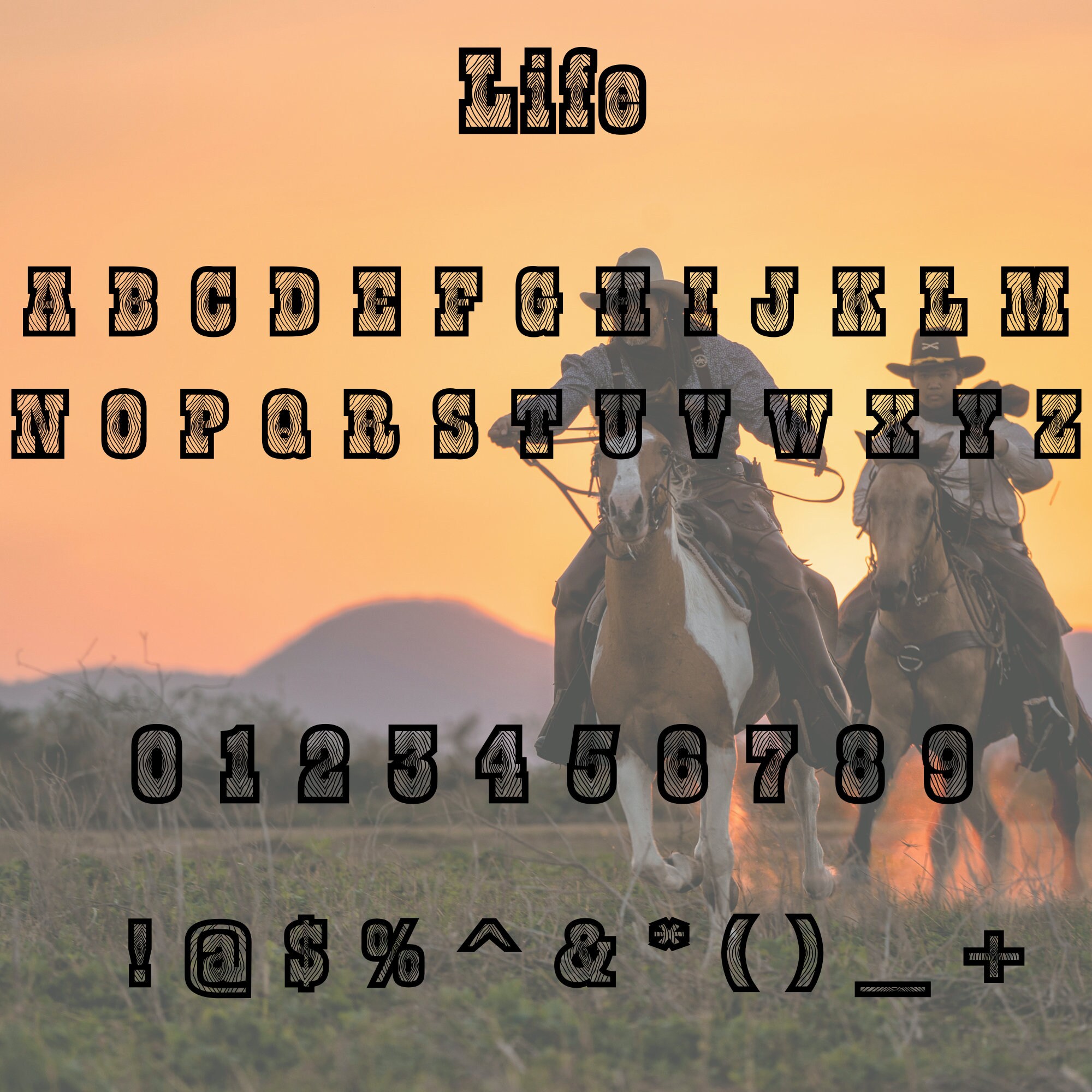 10 Western Font Bundle Canva Fonts, Circuit Fonts, Procreate Fonts ...