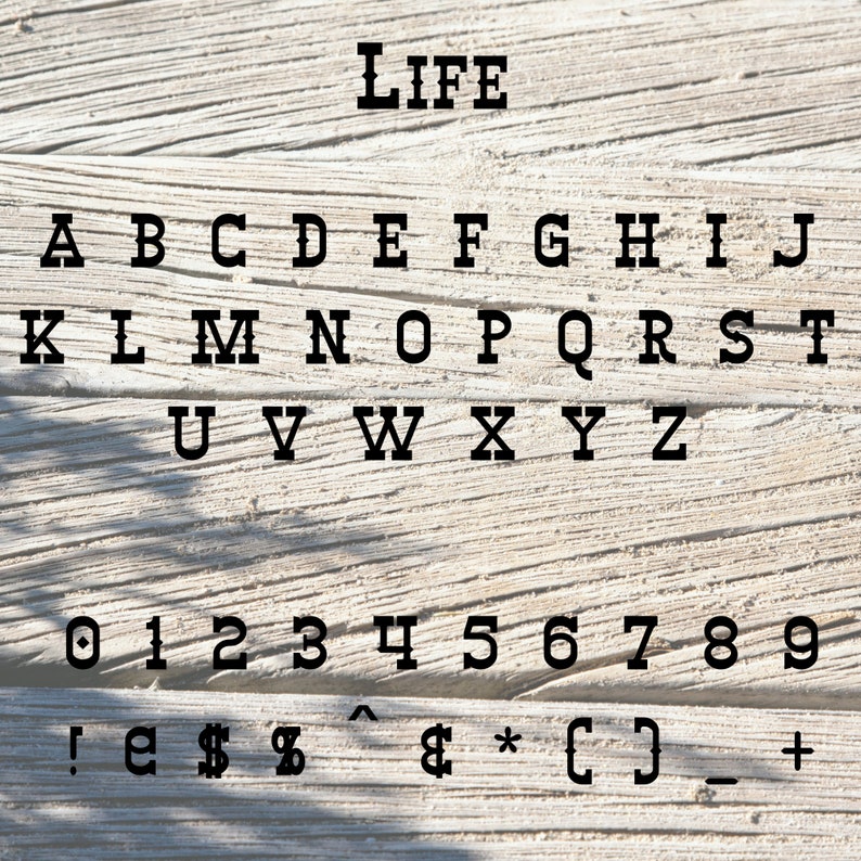 10 Western Font Bundle Canva Fonts, Circuit Fonts, Procreate Fonts ...